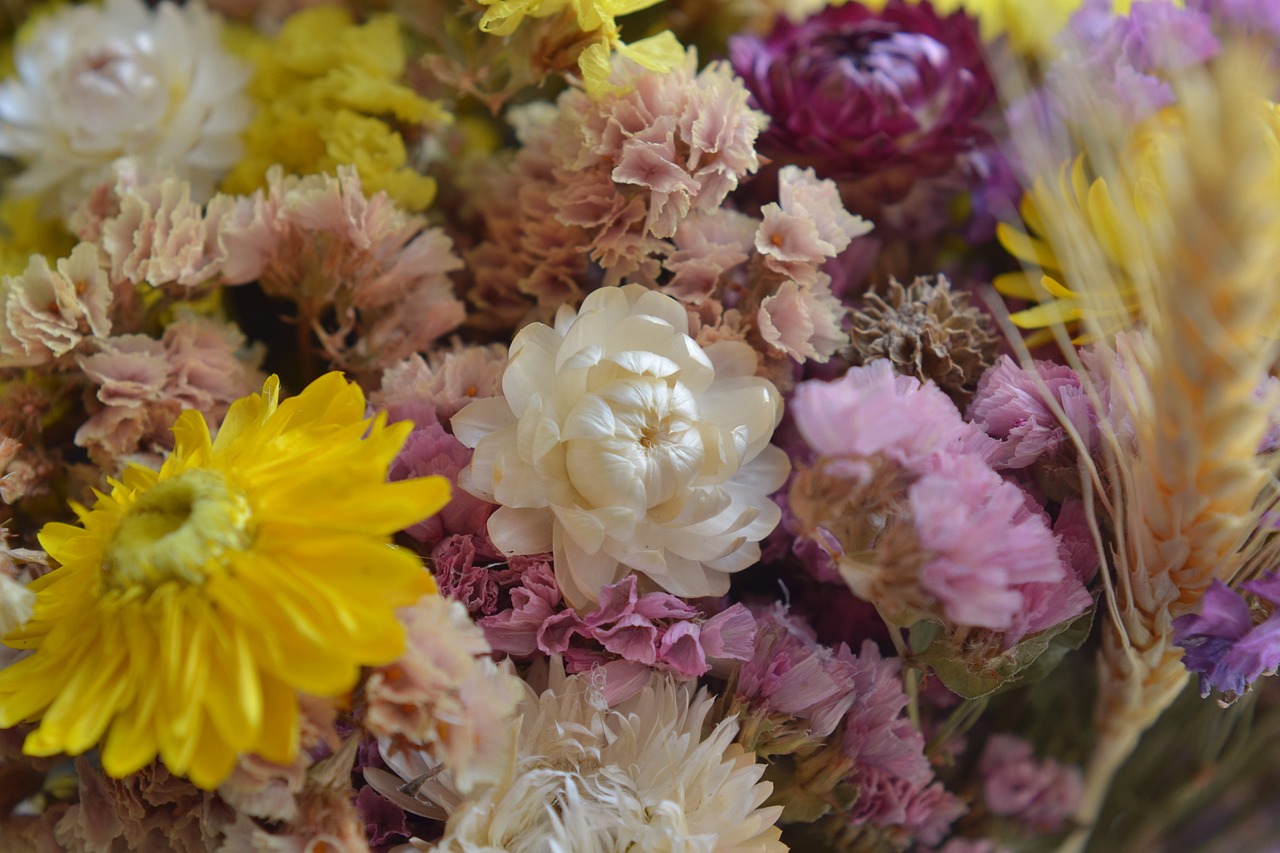 Des fleurs séchées pour des bouquets durables et des compositions ...